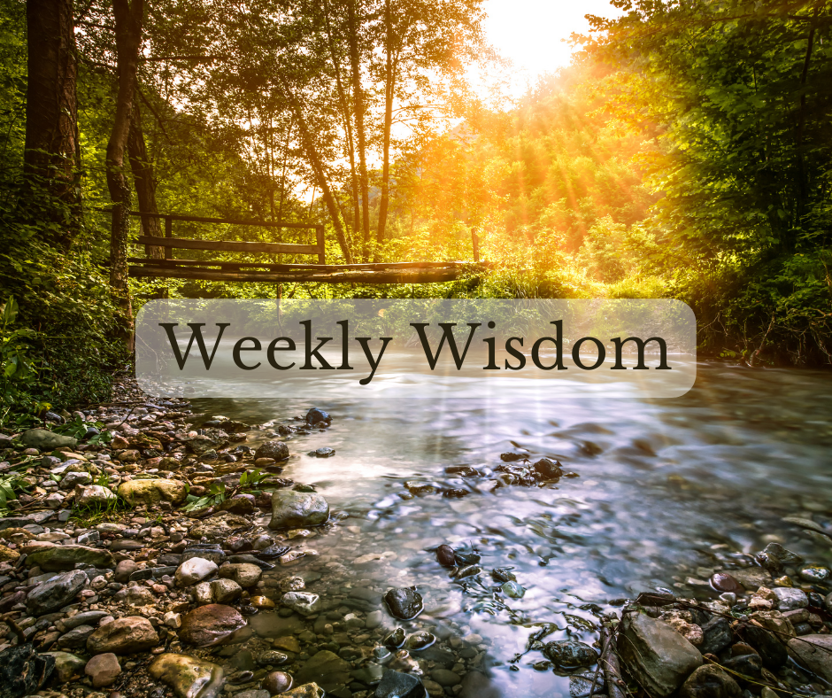 How to Ambush Yourself (Proverbs 1:10-19) - Get Wisdom